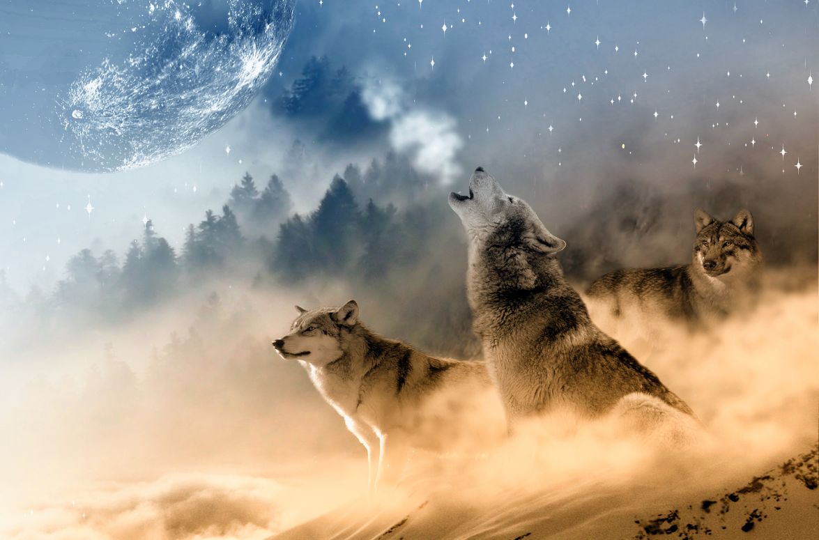 Why Is Odin Depicted With Wolves? - Scandinavia Facts